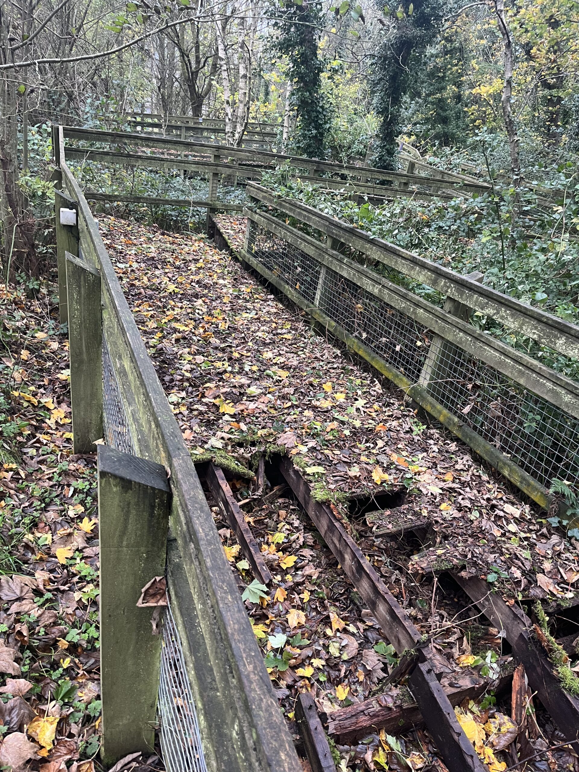 broken walkway 2 | Scouts NI